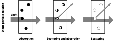 Application Note AN-6-101: Particle size analysis of polystyrene beads ...