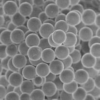 Application Note AN-6-101: Particle size analysis of polystyrene beads with UV-VIS ...